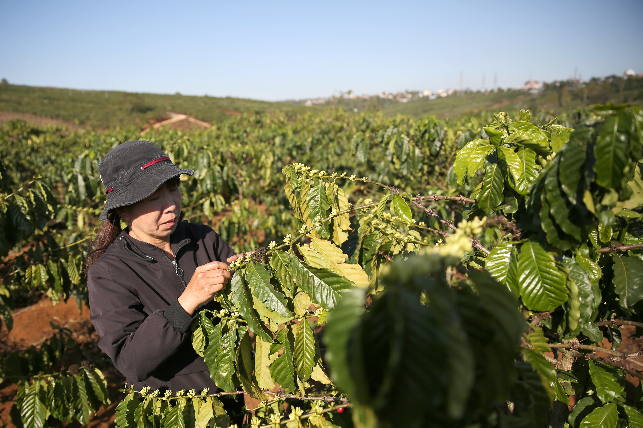 Ensuring safety and health at work in a changing climate – Green Reporter