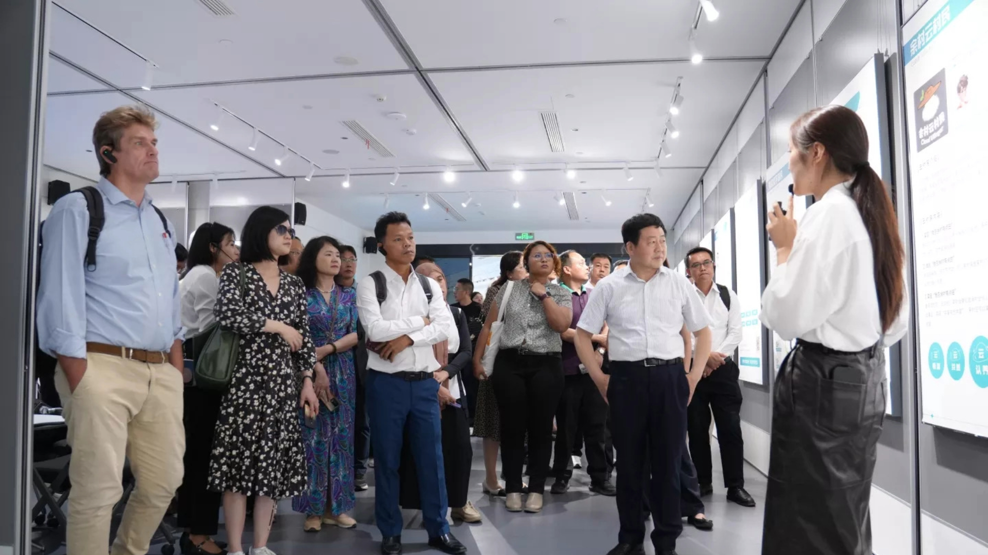 South-South technical workshop: Promoting skills and employment for ...